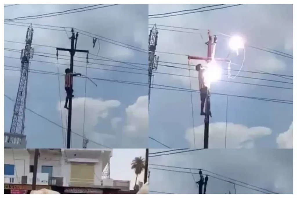 Drame: un jeune homme meurt électrocuté en tentant de sauver un oiseau ...