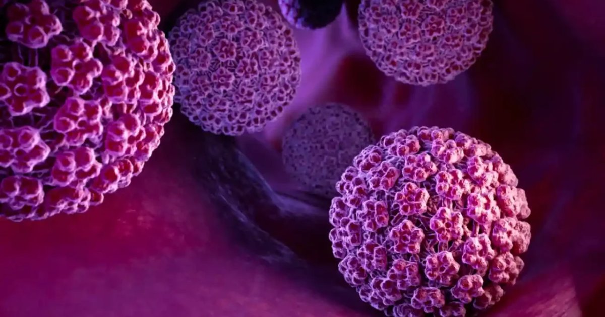 Bénin: campagne nationale de vaccination contre le Virus du Papillome ...