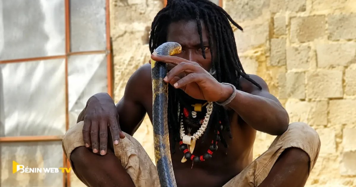 Bénin : Degaule PANDA le fou sage appelé en renfort pour capturer le ...
